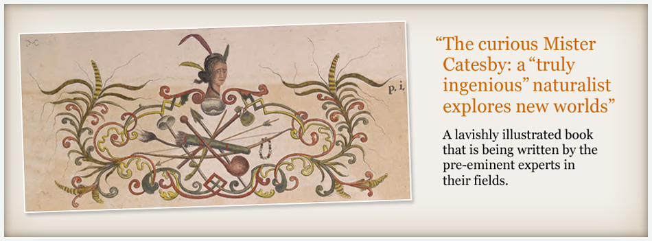 Forthcoming Book | The Curious Mister Catesby | Enfilade