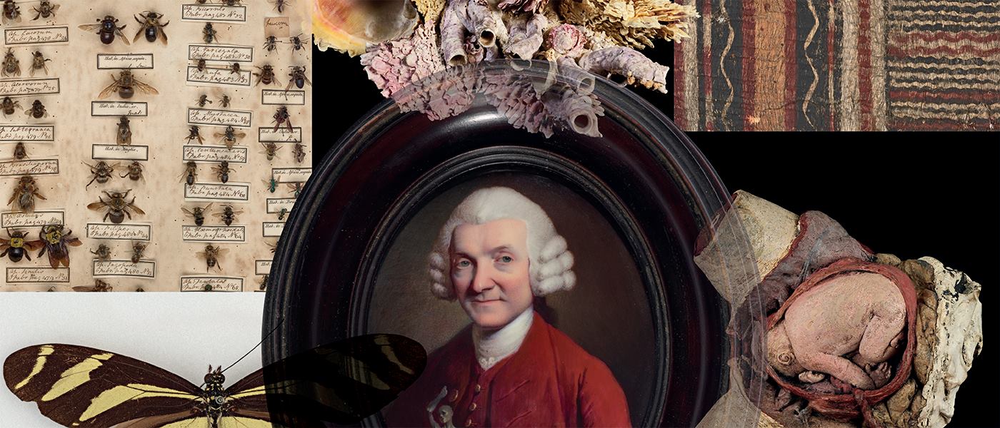 Exhibition | William Hunter and the Anatomy of the Modern Museum | Enfilade