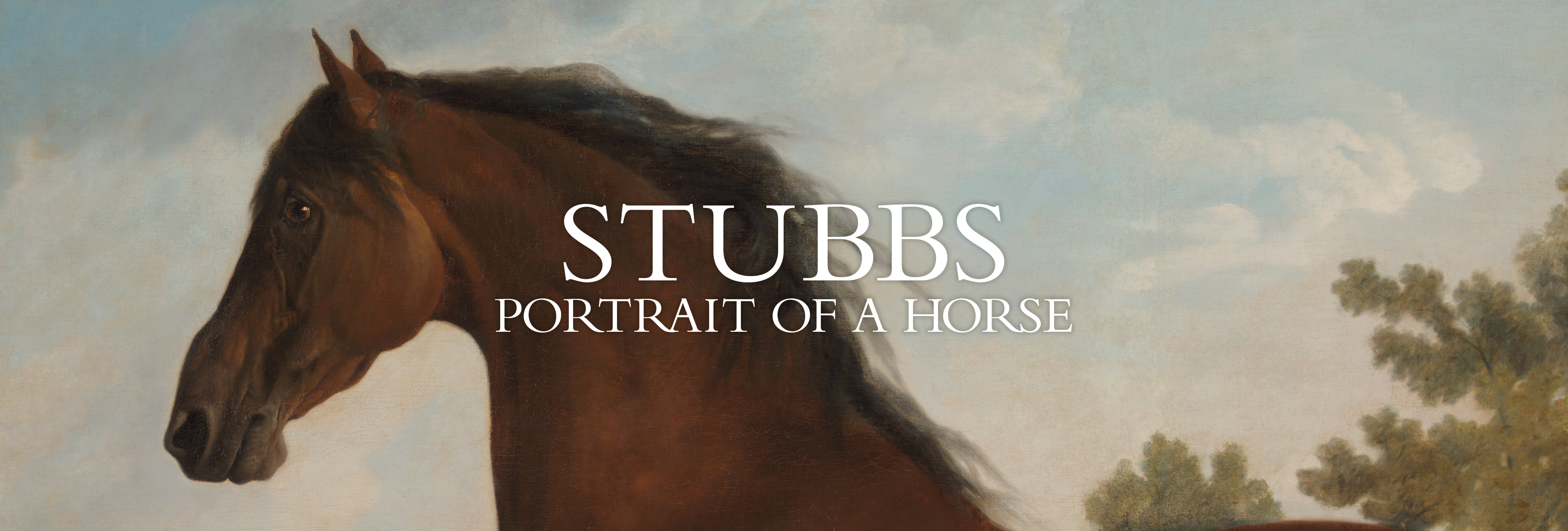 Exhibition | Stubbs: Portrait of a Horse | Enfilade