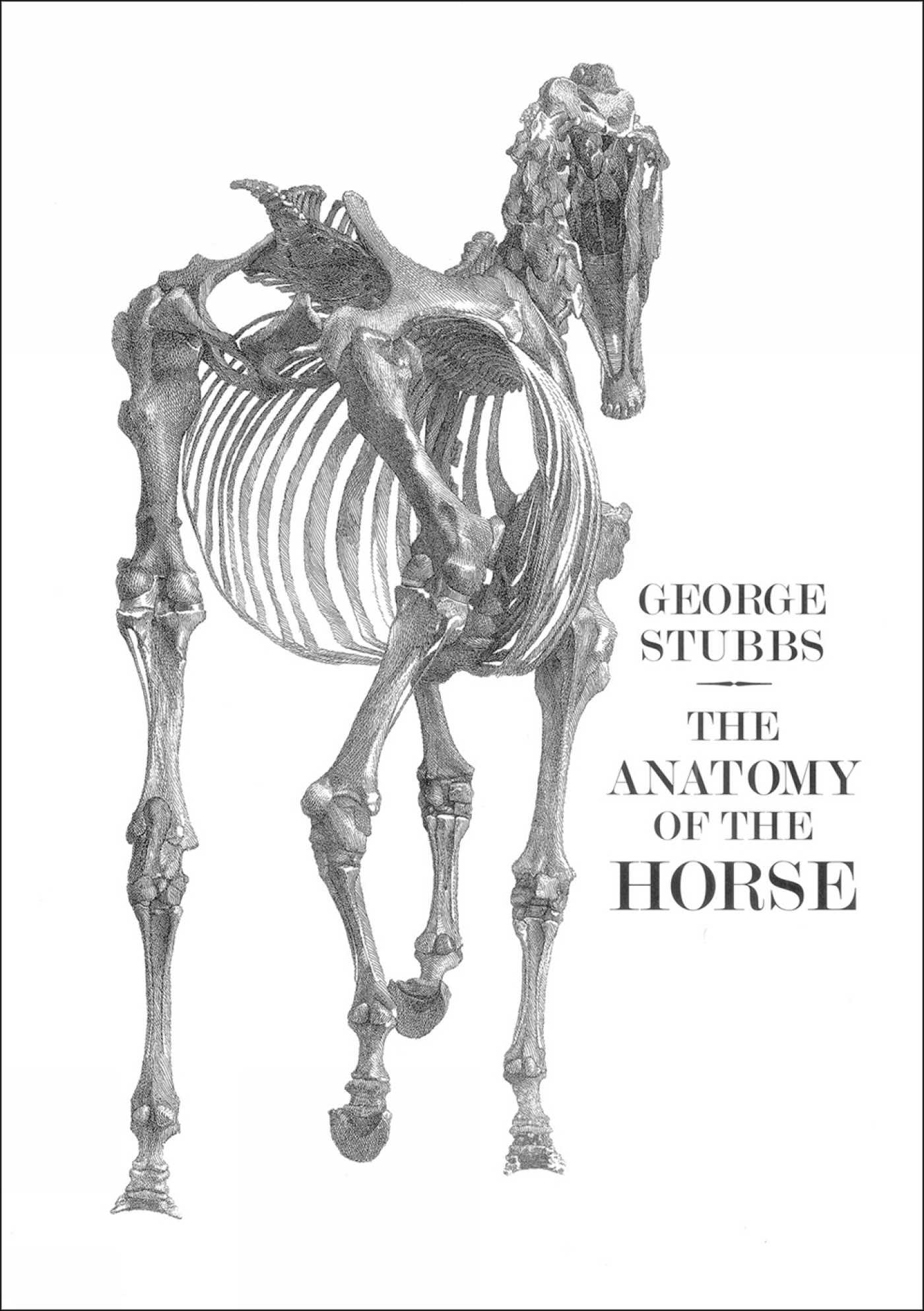 New Book | The Anatomy of the Horse | Enfilade